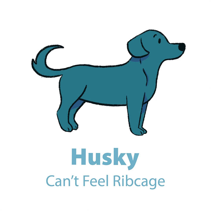 The Dog Body Scoring Chart Explained | JustFoodforDogs Blog
