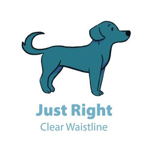 The Dog Body Scoring Chart Explained | JustFoodforDogs Blog