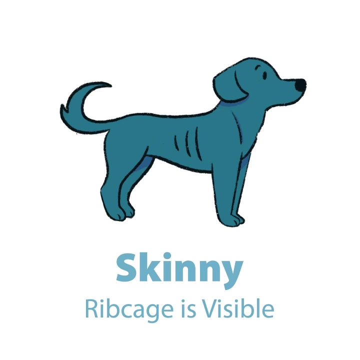 The Dog Body Scoring Chart Explained | JustFoodforDogs Blog