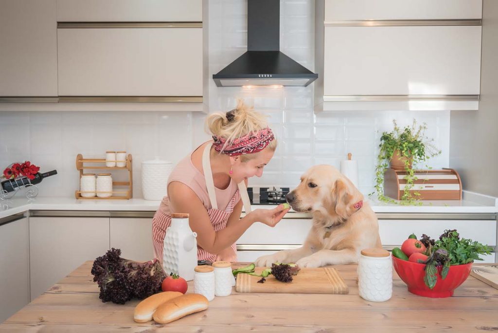 How To Make Fresh Homemade Dog Food: Easy Recipes | JustFoodforDogs Blog