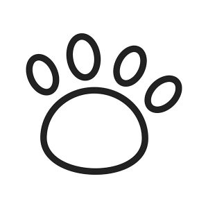 Dog Paws Anatomy & Care Guide | JustFoodforDogs Blog