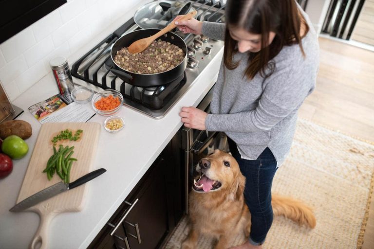 Herbs & Spices: What Seasonings Can Dogs Have? | JustFoodforDogs Blog