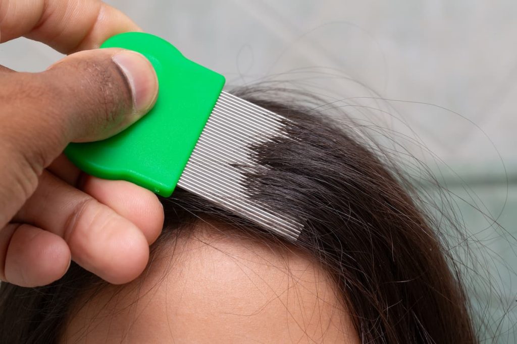 Do Dogs Get Lice? | JustFoodforDogs Blog