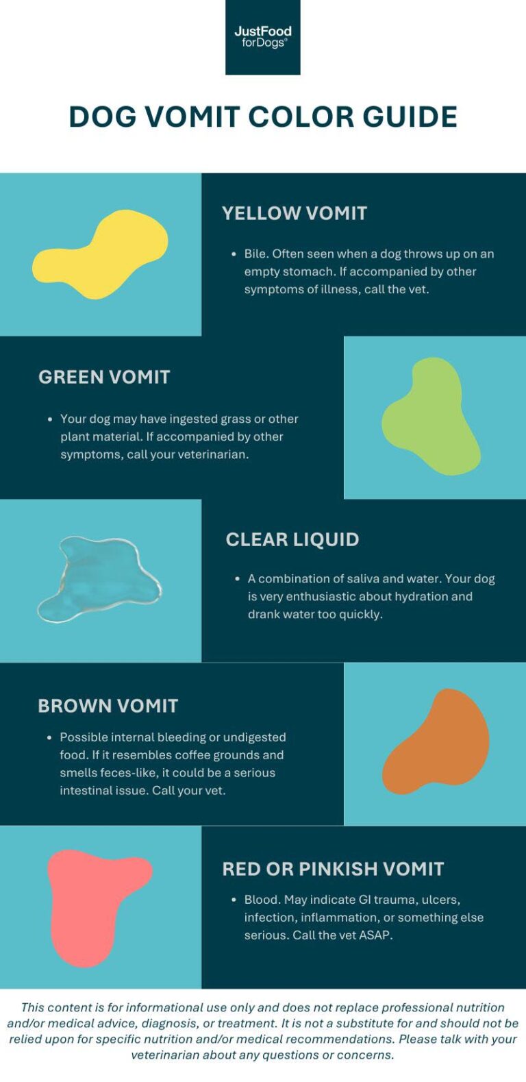 Dog Vomit Color Guide | JustFoodforDogs Blog