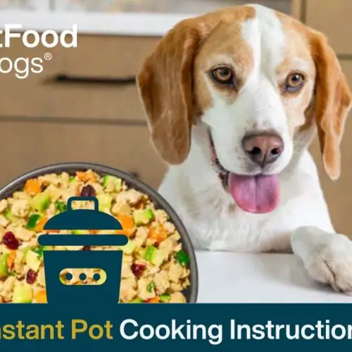 Homemade Instant Pot Dog Food Recipe with Ground Turkey