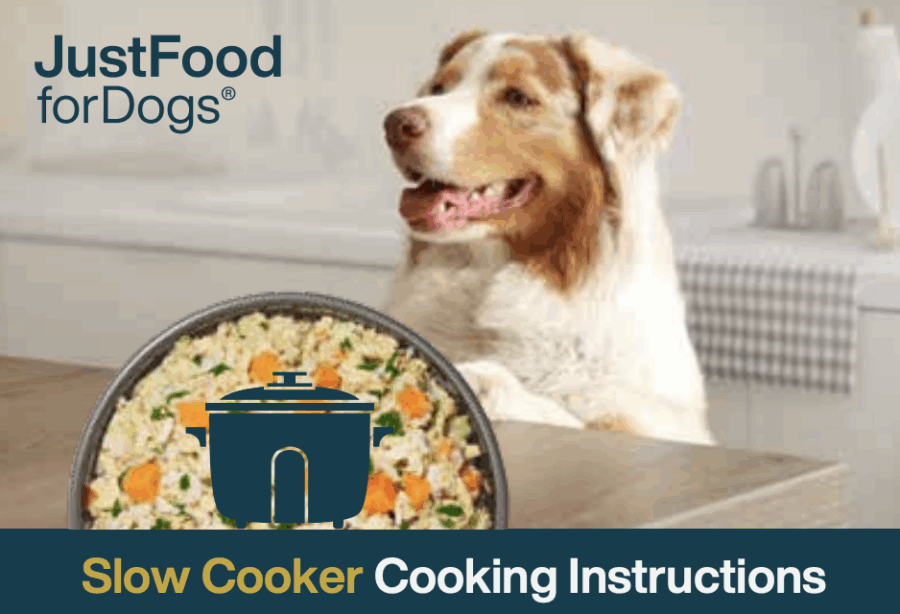 Slow Cooker Recipe: Chicken & Rice Dog Food | JustFoodforDogs Blog