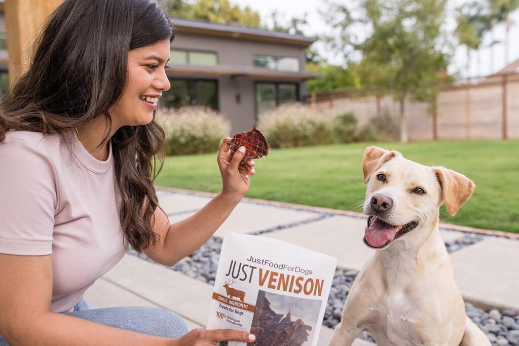 Can Dogs Have Gingerbread? What Pet Parents Need to Know ...